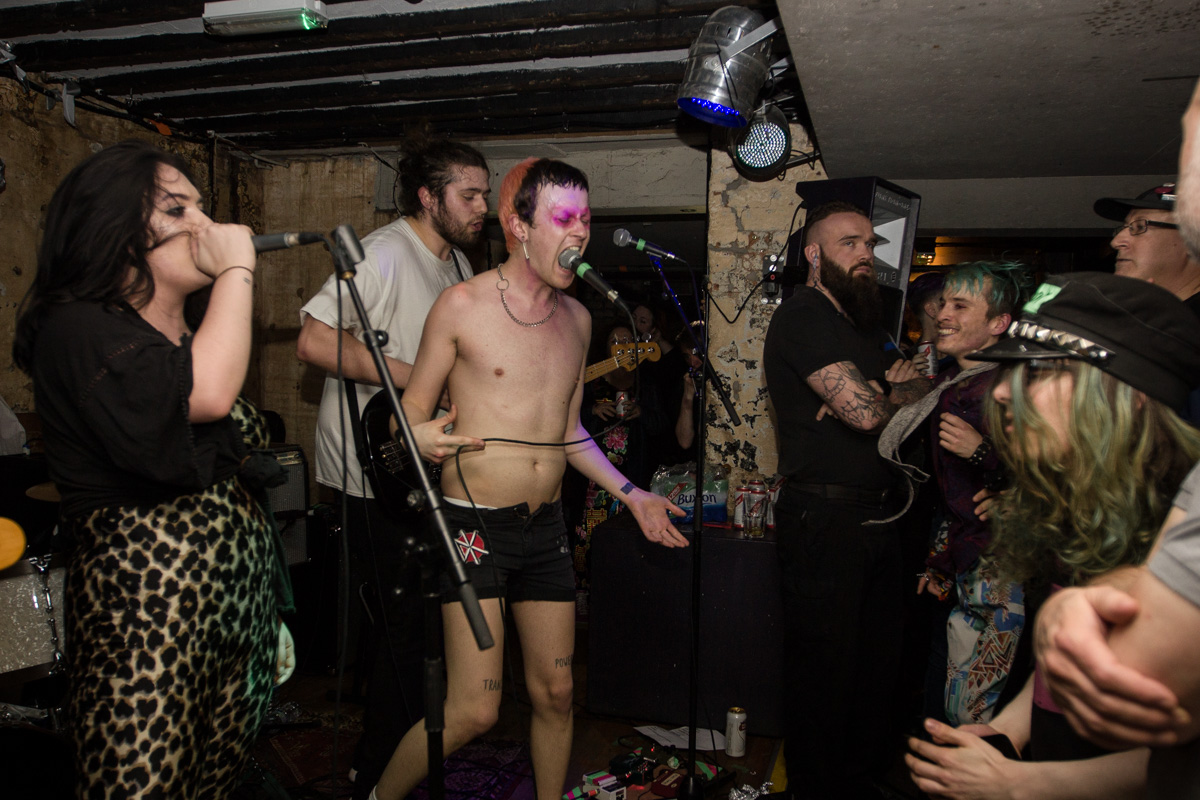 The album crisis: Queen Zee, Ian McNabb, Recordiau Côsh Records on ...